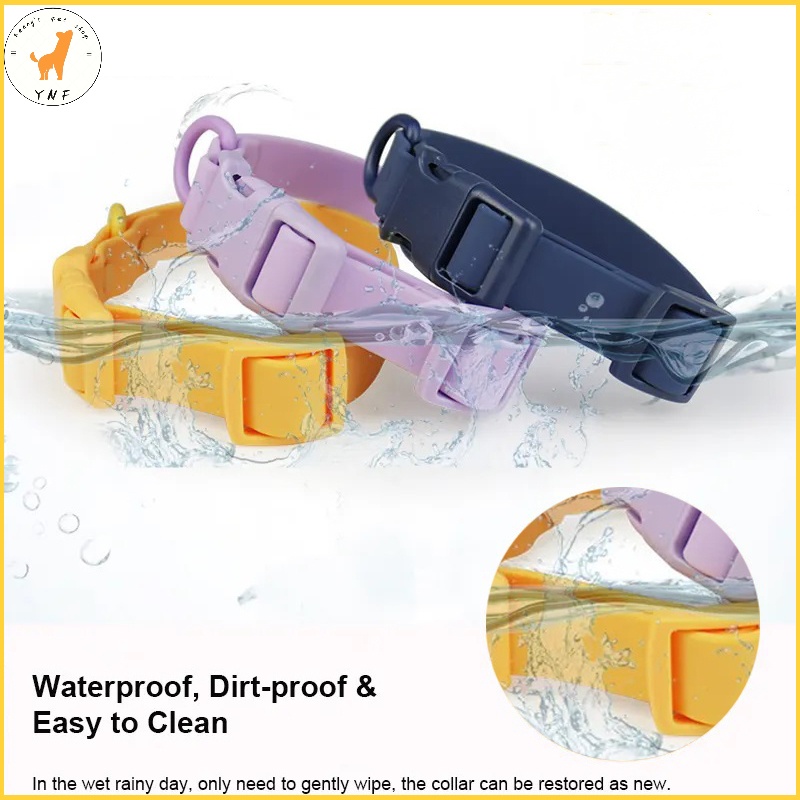 【COD】Pet Pure Color Waterproof Collar And Traction Rope Puppy And ...