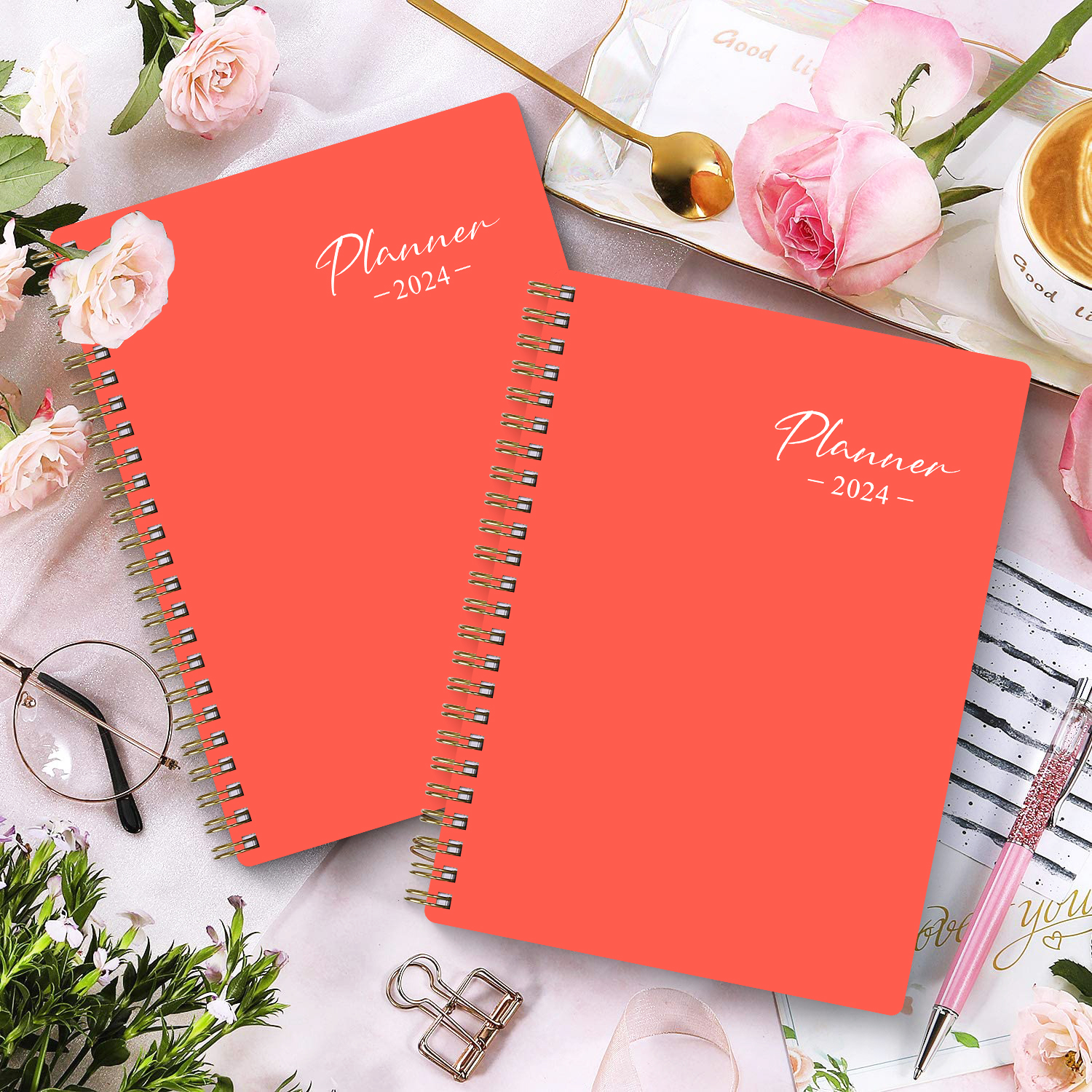Ashley A5/148 Pages 2024 Planner Notebook Double Coil Loose Leaf ...