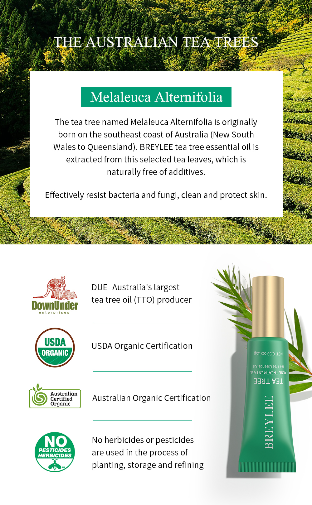 BREYLEE Acne Scars Gel Removal Redness Salicylic Acid Anti-Inflammatory ...