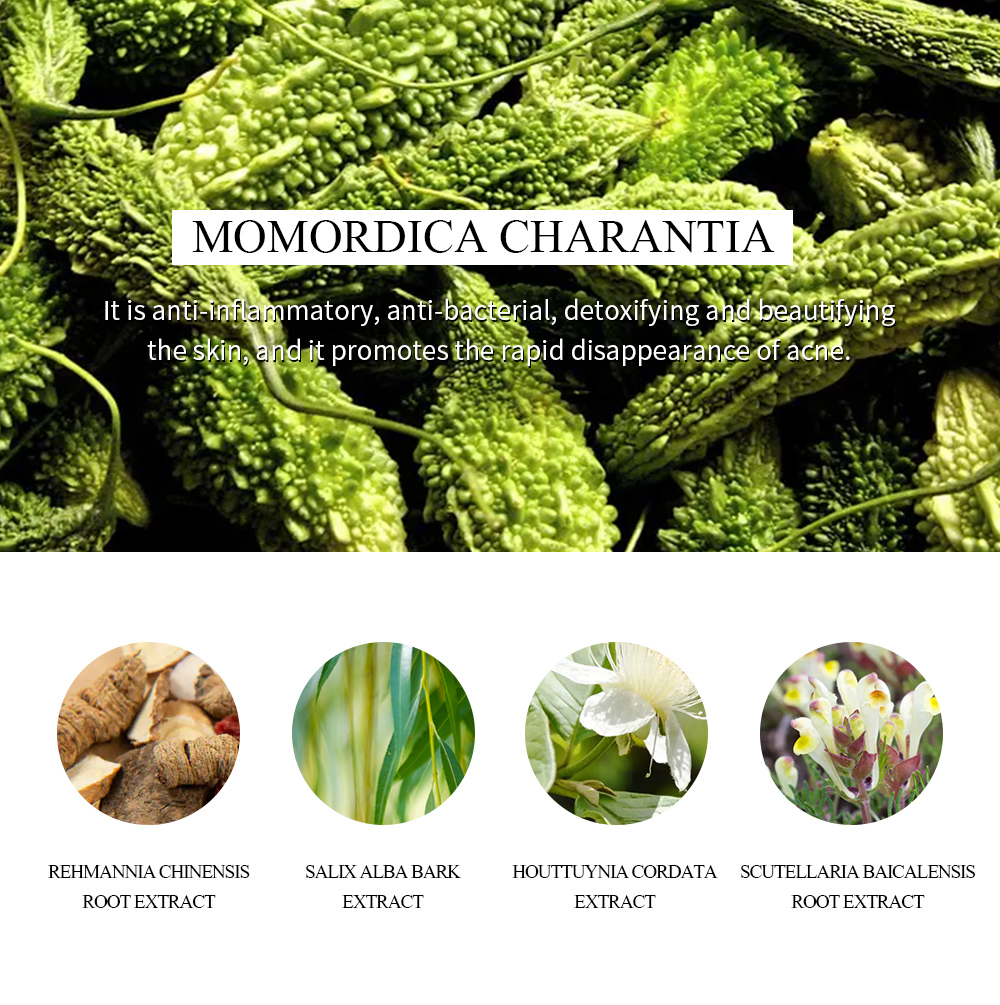 BREYLEE Acne Scars Gel Removal Redness Salicylic Acid Anti-Inflammatory ...