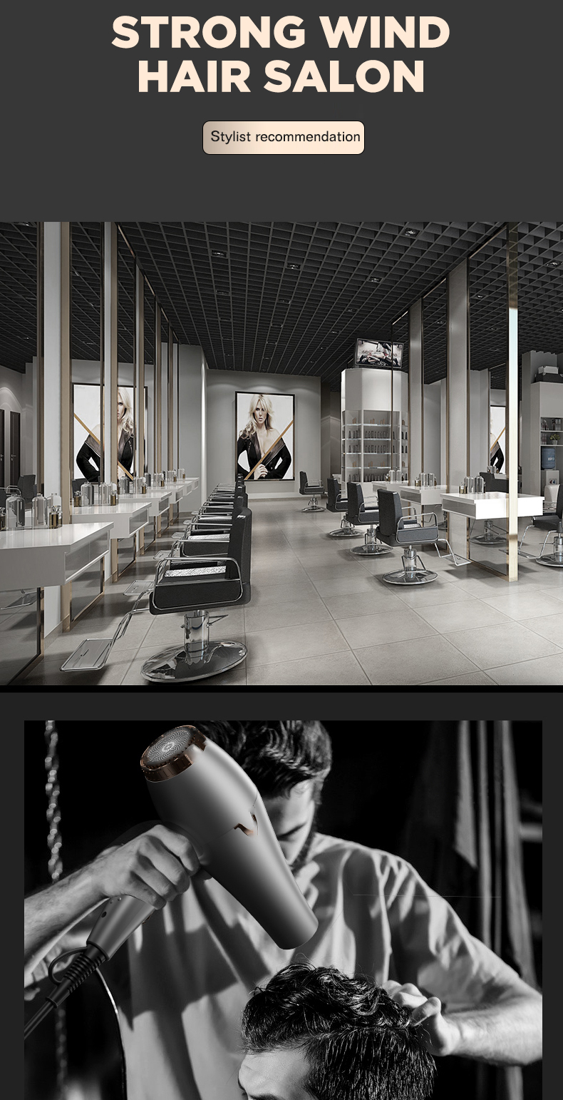 Dreepor Electric Hair Blower Professional Blower Hair Dryer Hair ...