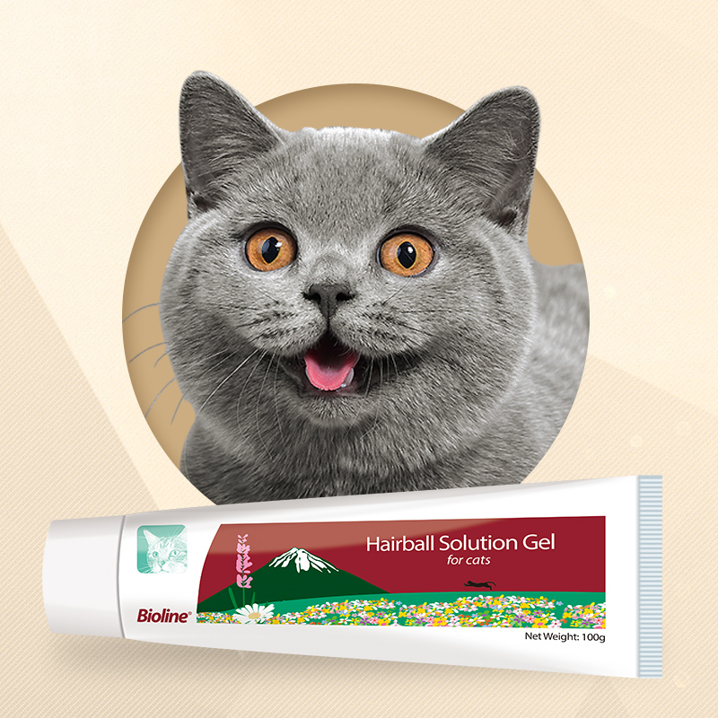 Bioline Hairball Solution Cat Grass Recipe 100g | Shopee Philippines
