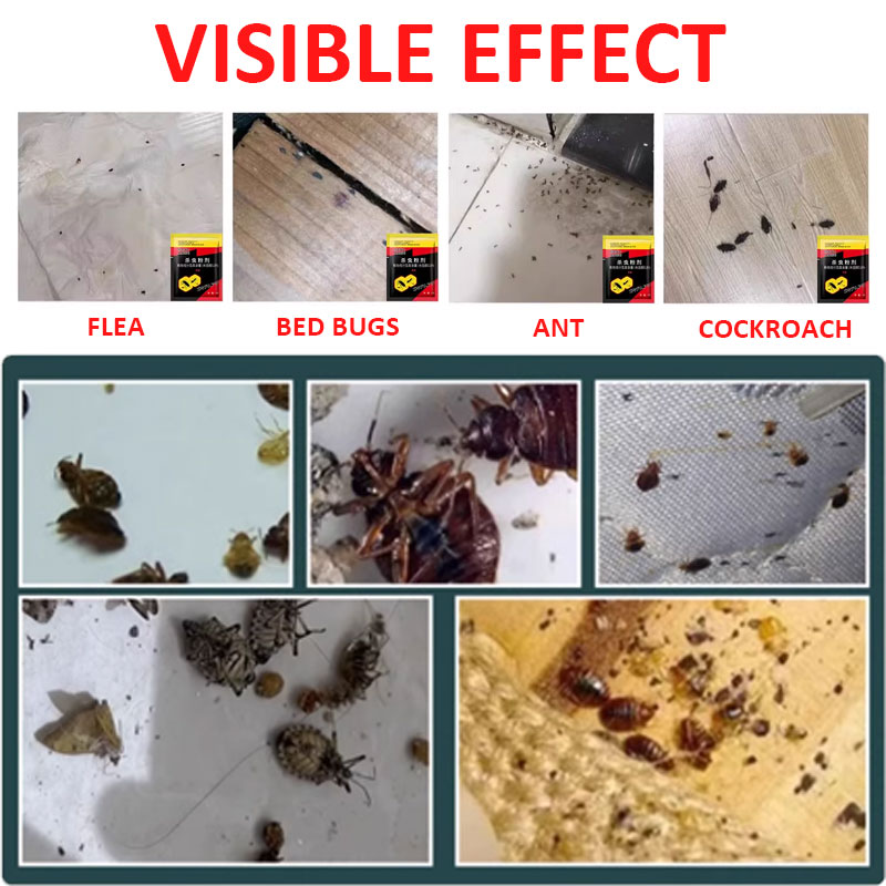 Effective Insect Killer Powder Effective Insect Ant Killer Killing Bait ...