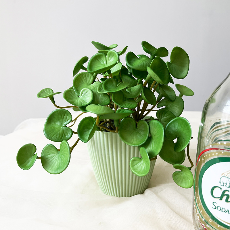 Realistic Succulent Mini Plants with Coin Grass, Sweet Potato Leaves ...