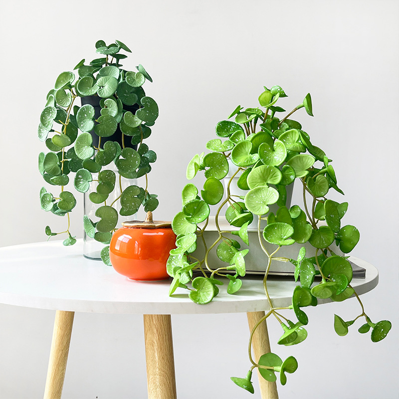 Realistic Succulent Mini Plants with Coin Grass, Sweet Potato Leaves ...