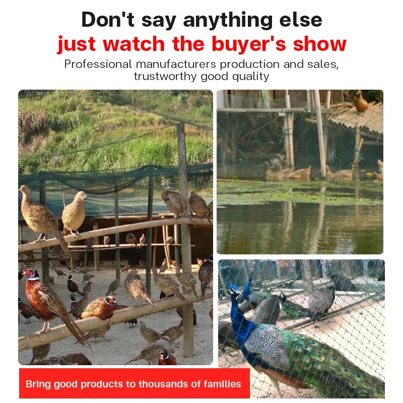 【Gift rope】100/300M Chicken Net Range Net for Chicken Lambat Outdoor ...