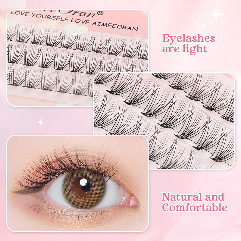 AIMEEORAN 60 Clusters Lashes D Curl Volume Individual Lashes Extensions ...