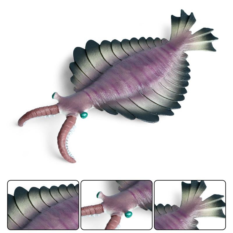 Cambrian Prehistoric Ocean Orthoceras Opabinia Trilobite Crab Shark ...