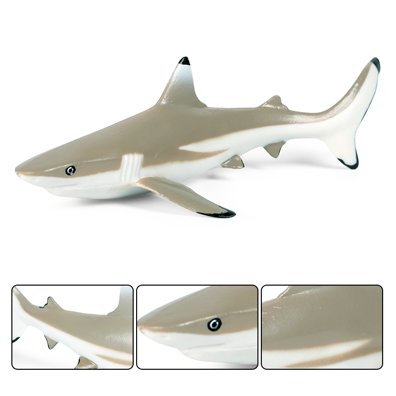 Cambrian Prehistoric Ocean Orthoceras Opabinia Trilobite Crab Shark ...