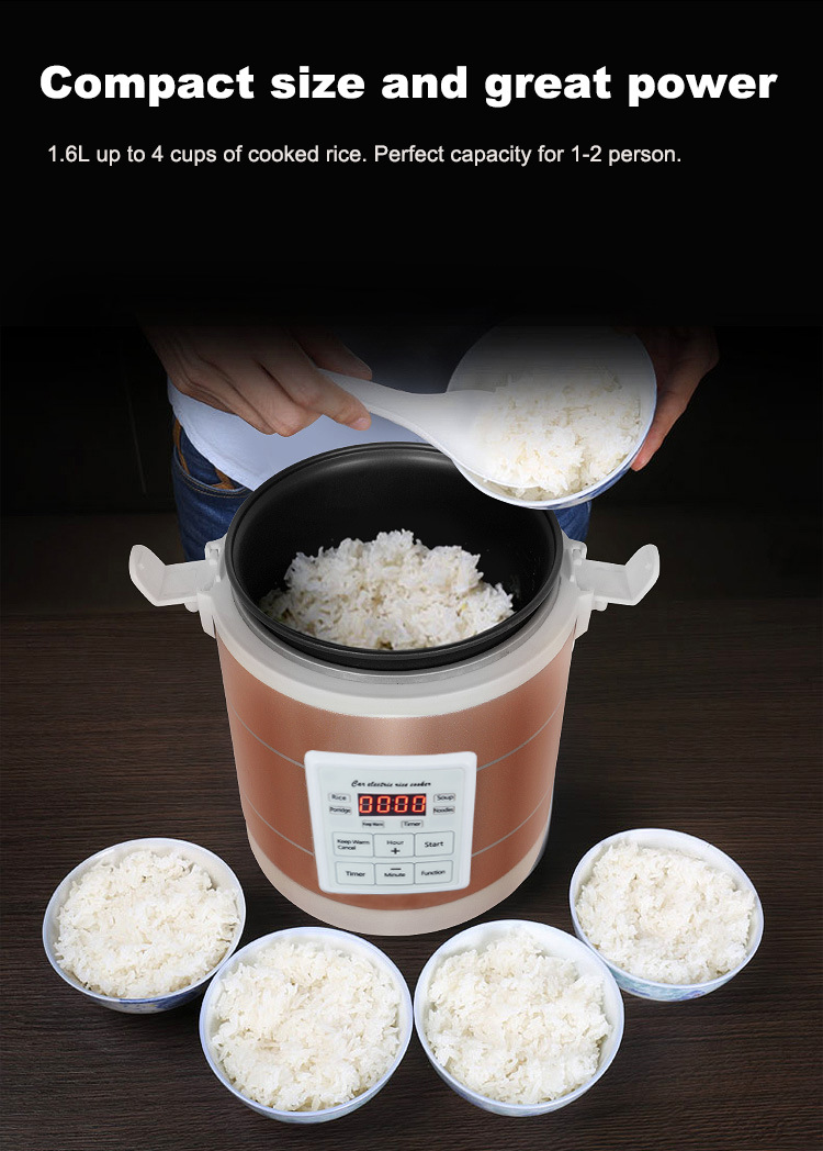 RV Electric Rice Cooker 12-24V Small Car and Large Truck 1.6L Self ...