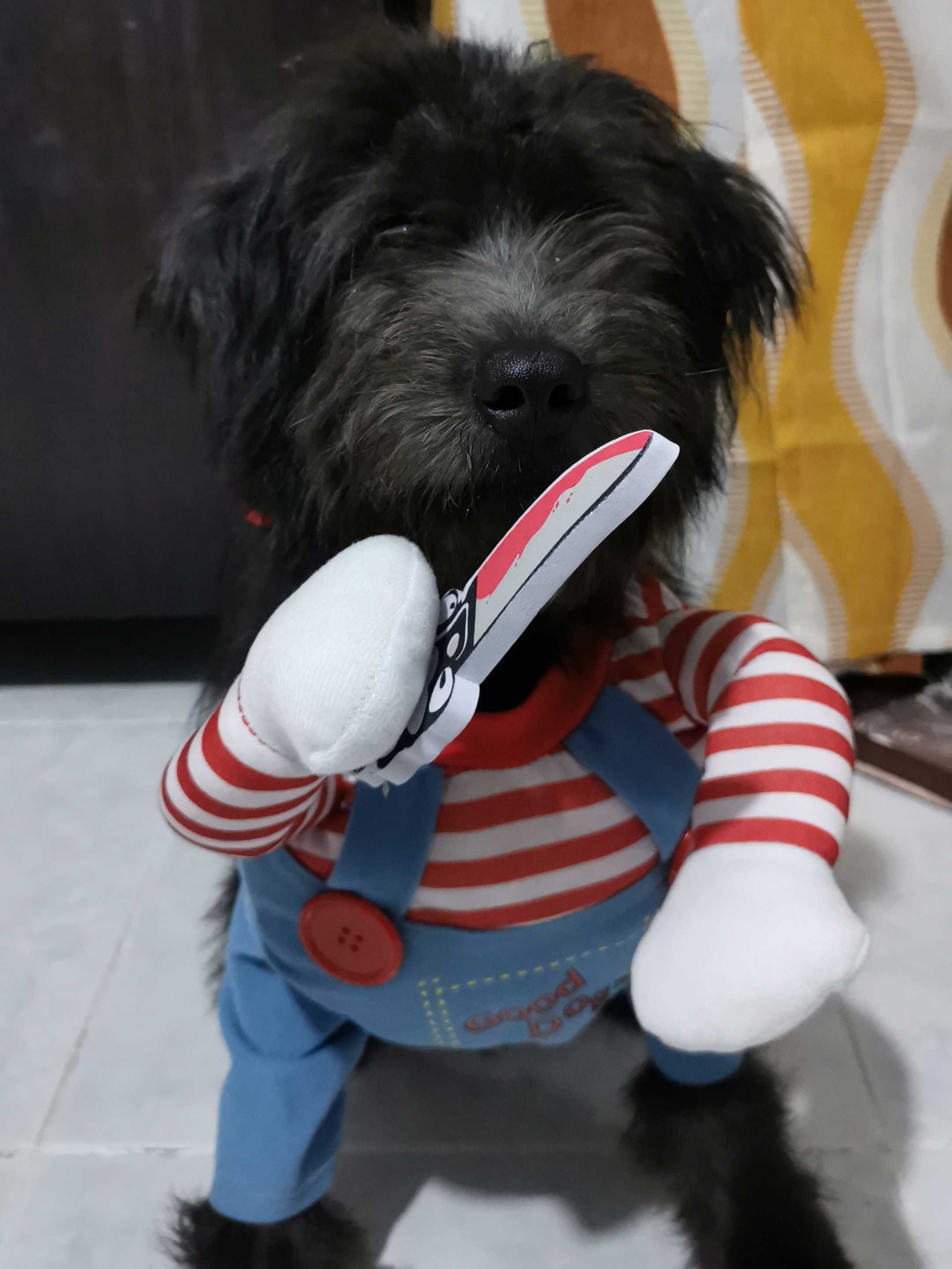 AIWO Kill Doll Funny Dog Clothes Cat Chucky Costume Halloween Party ...