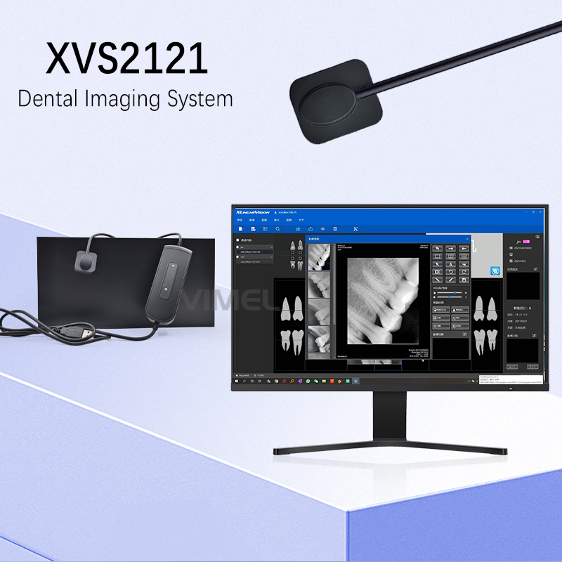 Dental Xray Sensor ECO Sensor Intraoral Digital X ray with Holders 2 ...