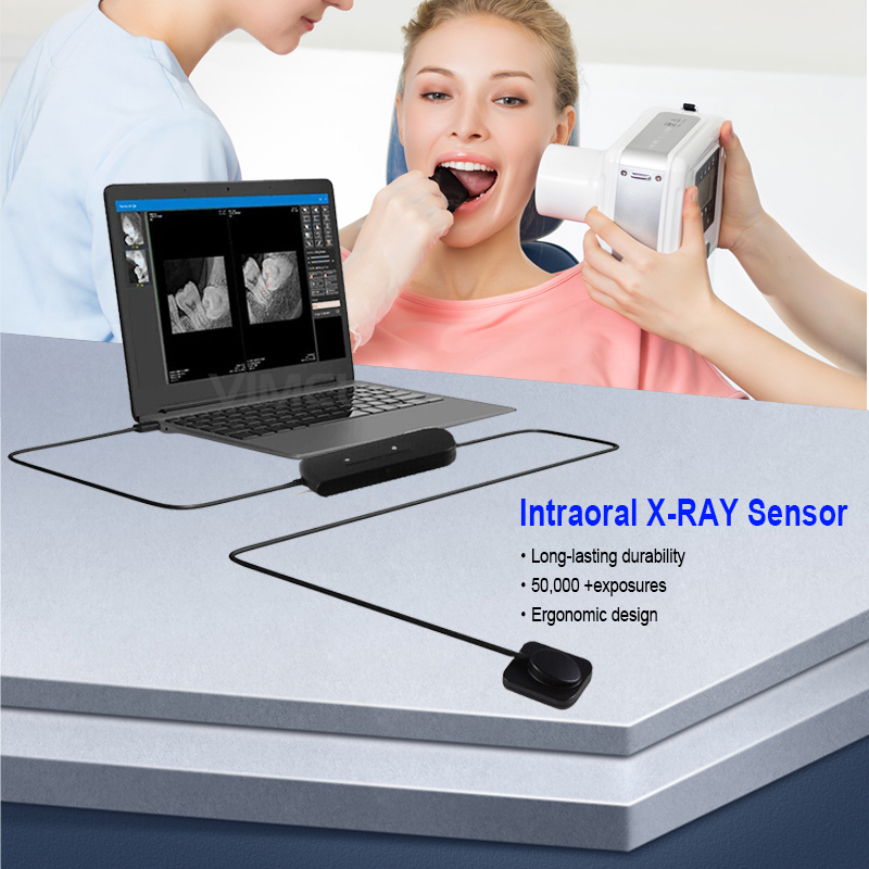 Dental Xray Sensor ECO Sensor Intraoral Digital X ray with Holders 2 ...