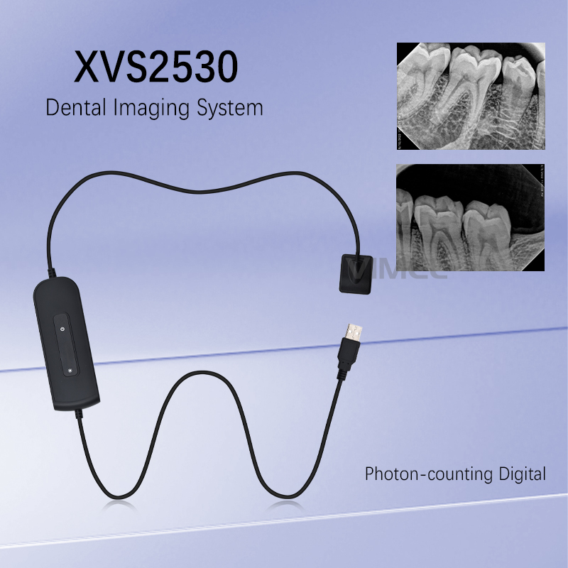 Dental Xray Sensor ECO Sensor Intraoral Digital X ray with Holders 2 ...