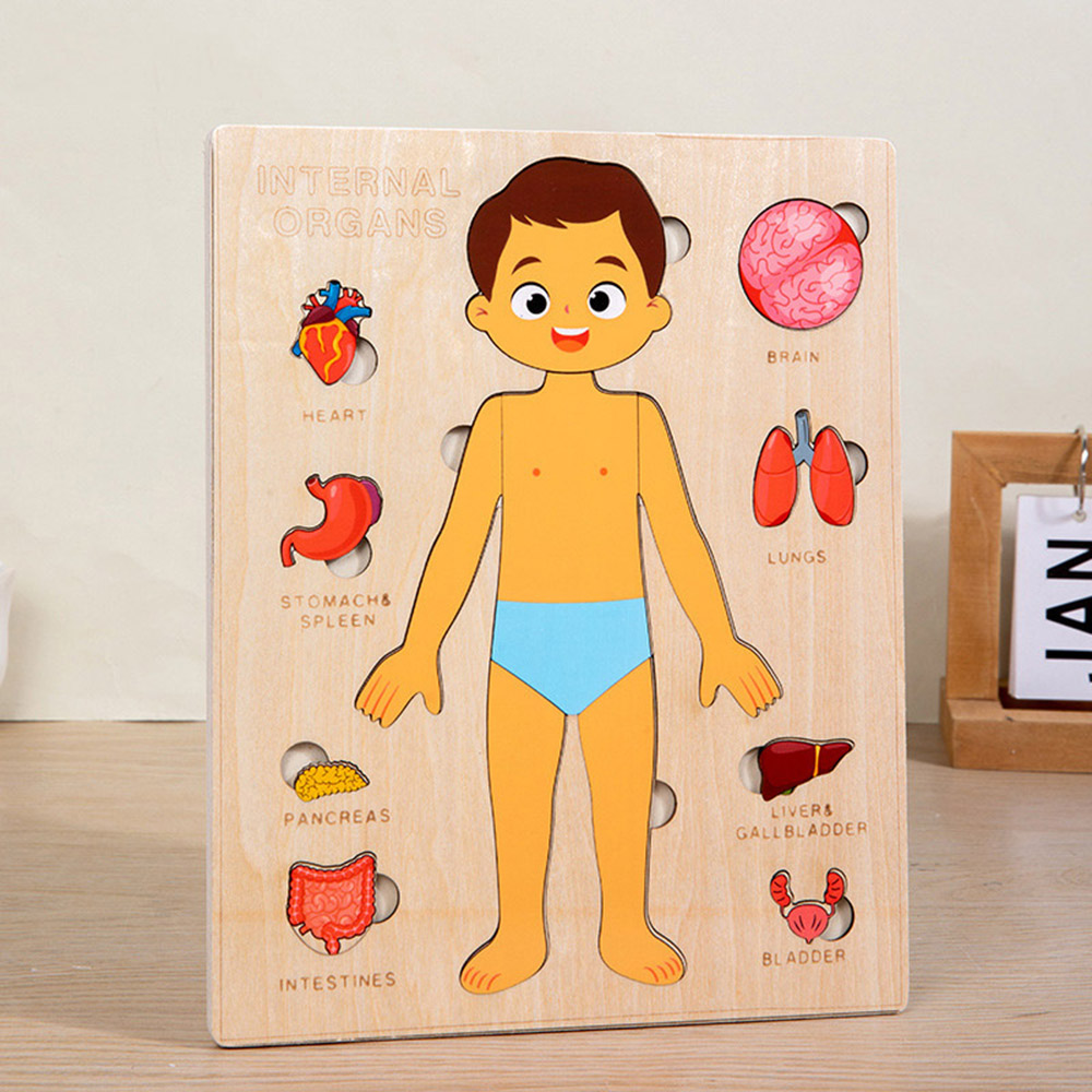 Montessori Wooden Jigsaw Puzzles Anatomy Game Human Body Puzzles ...