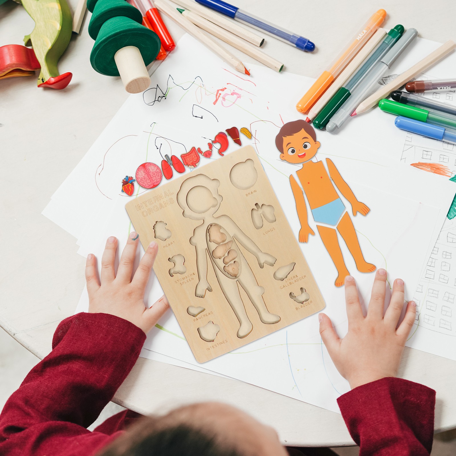 Montessori Wooden Jigsaw Puzzles Anatomy Game Human Body Puzzles ...