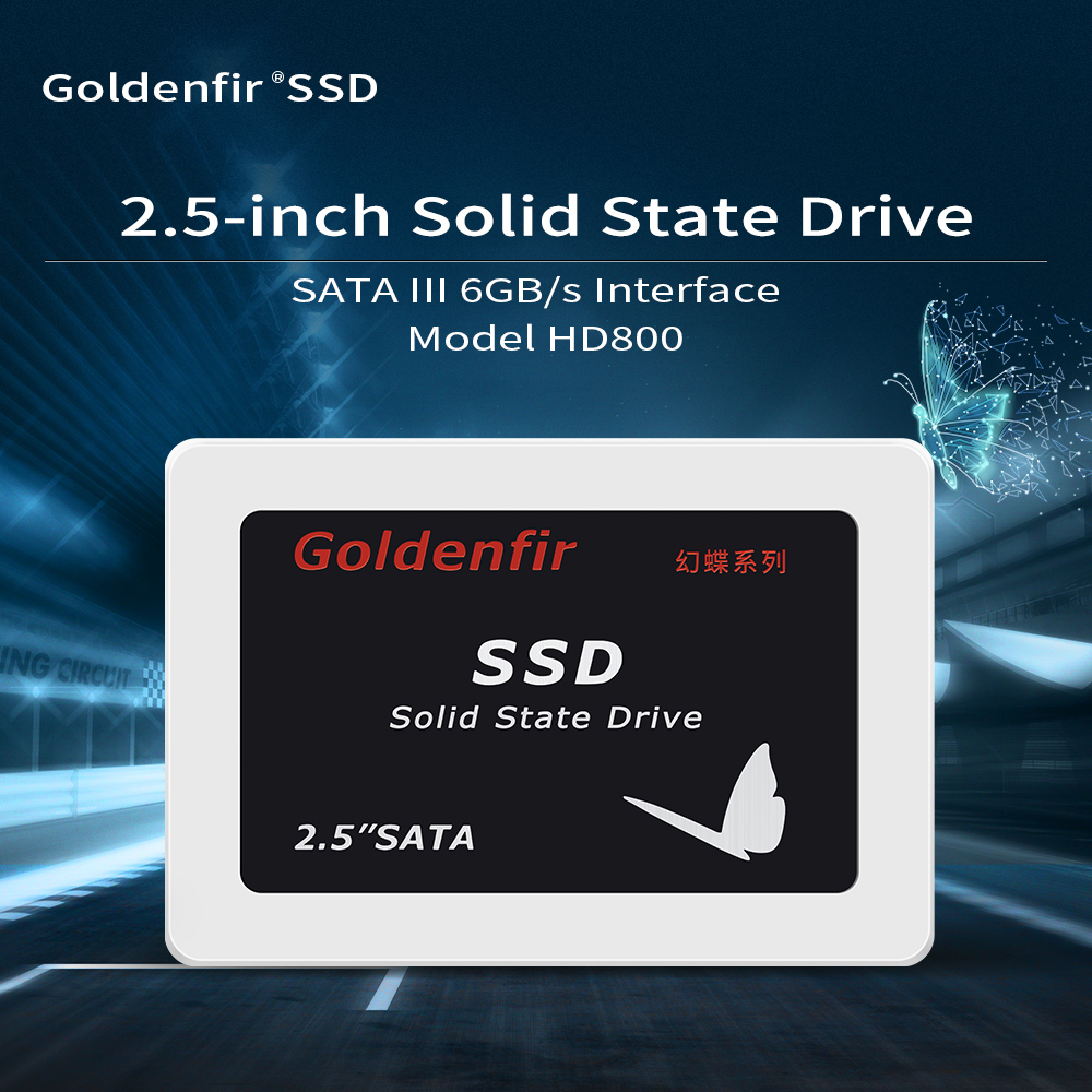 Goldenfir SSD for PC SATAIII Built-In Solid State Drive Desktop Computer | Shopee Philippines
