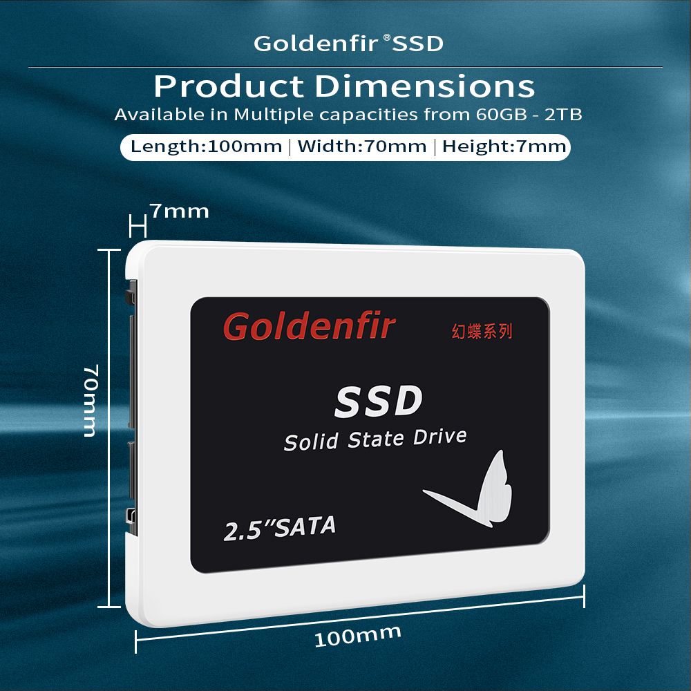 Goldenfir SSD SATAIII built-in solid-state drive desktop computer | Shopee Philippines