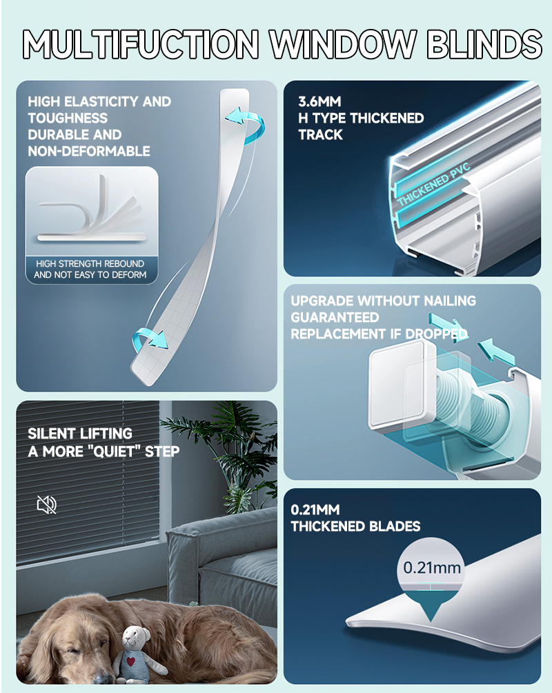 Eone Home Korean PVC Windows Blinds Pro Venetian Duo Roller Curtain ...