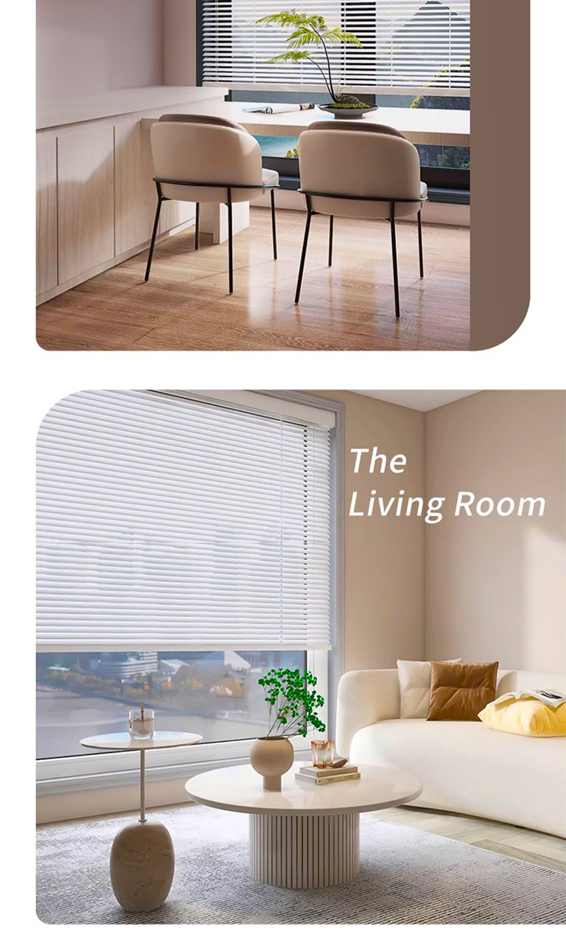Eone Home Korean PVC Windows Blinds Pro Venetian Duo Roller Curtain ...