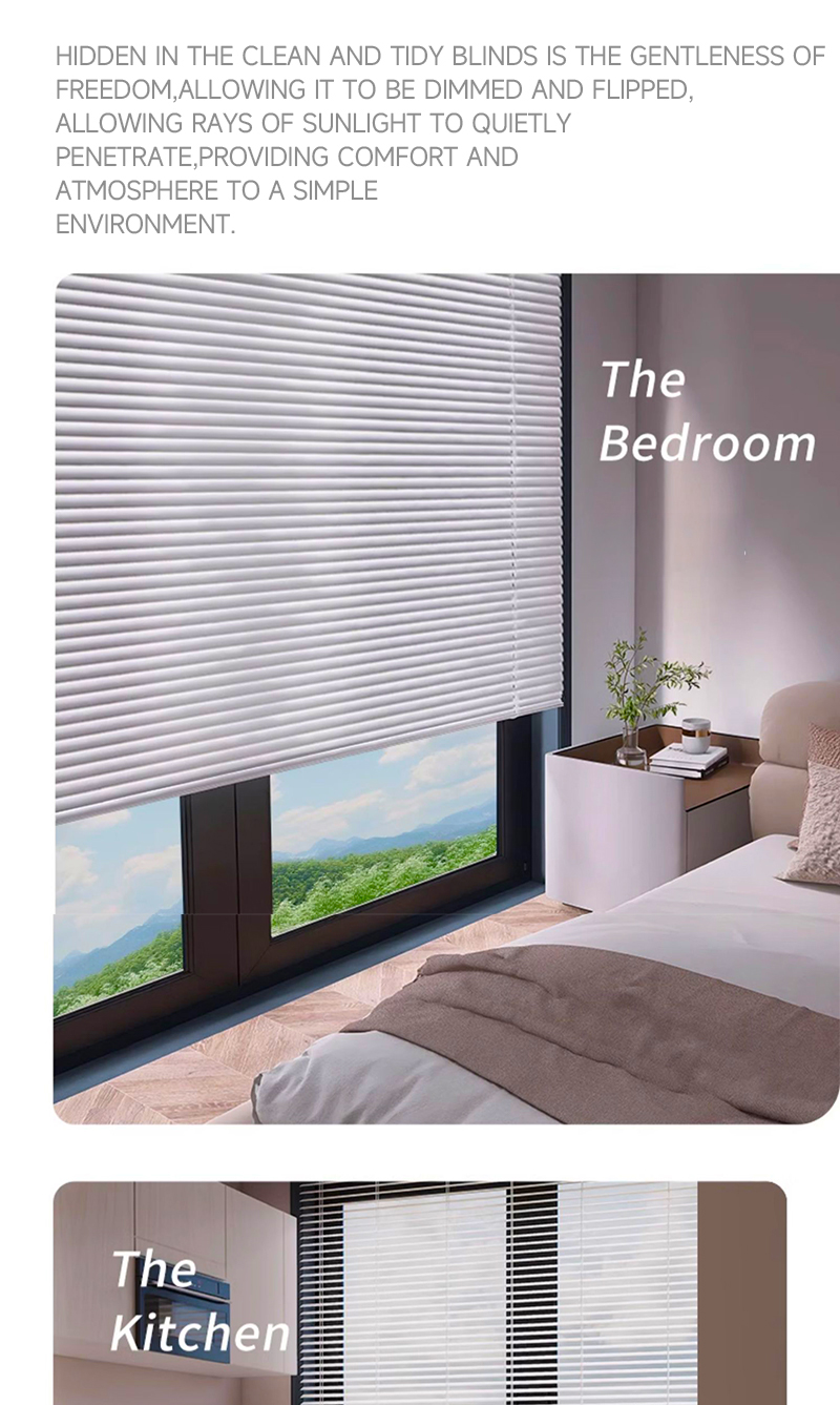 Eone Home Korean PVC Windows Blinds Pro Venetian Duo Roller Curtain ...