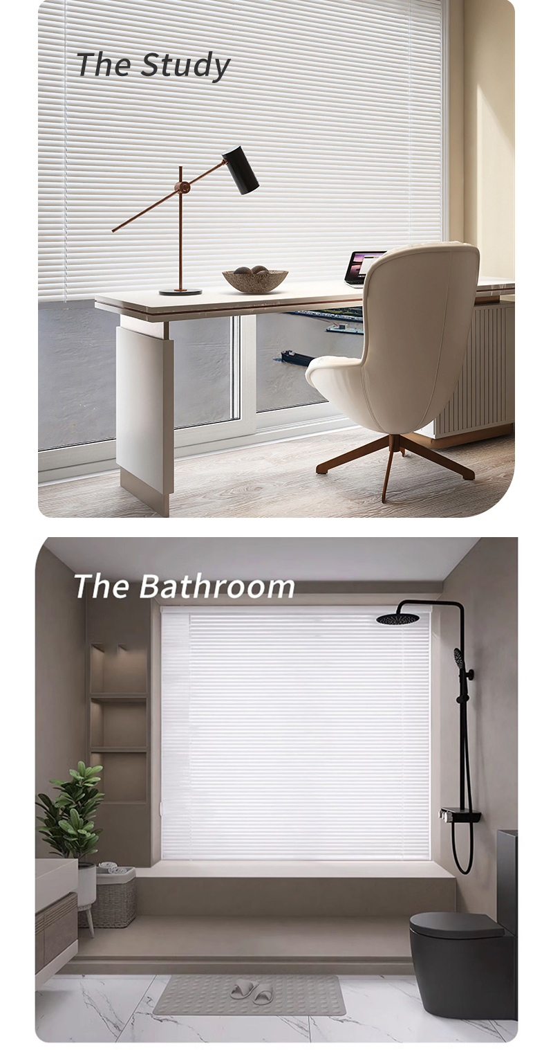 Eone Home Korean PVC Windows Blinds Pro Venetian Duo Roller Curtain ...