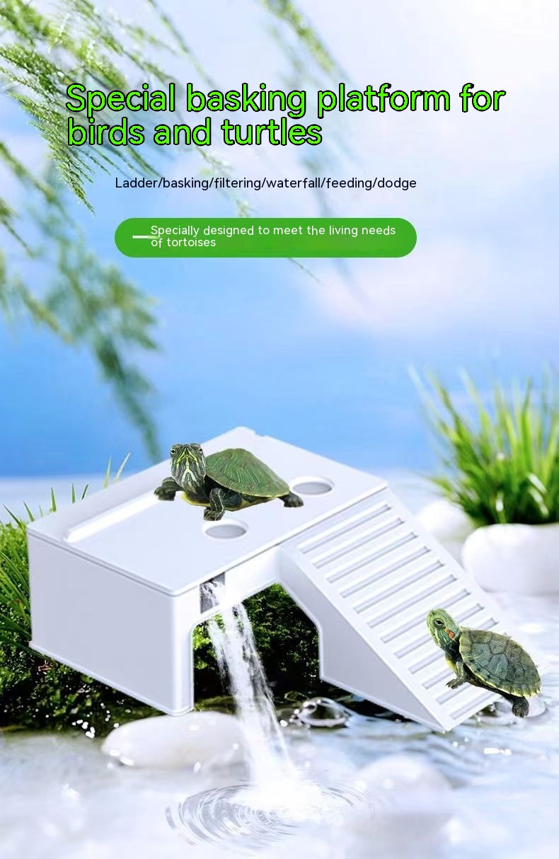 Turtle Climbing Platform Multifunctional Turtle Backing Platform ...