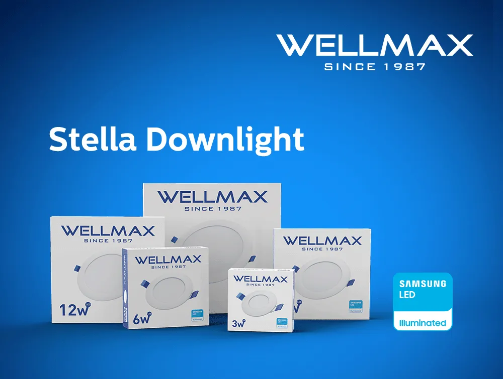 WELLMAX Downlight Adopt SAMSUNG LED Chip Recessed Ceiling Light 6500K ...