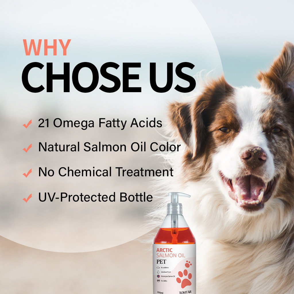 Norwegian 100% Salmon Oil 300ml Smooth fur for dogs and cats increases ...