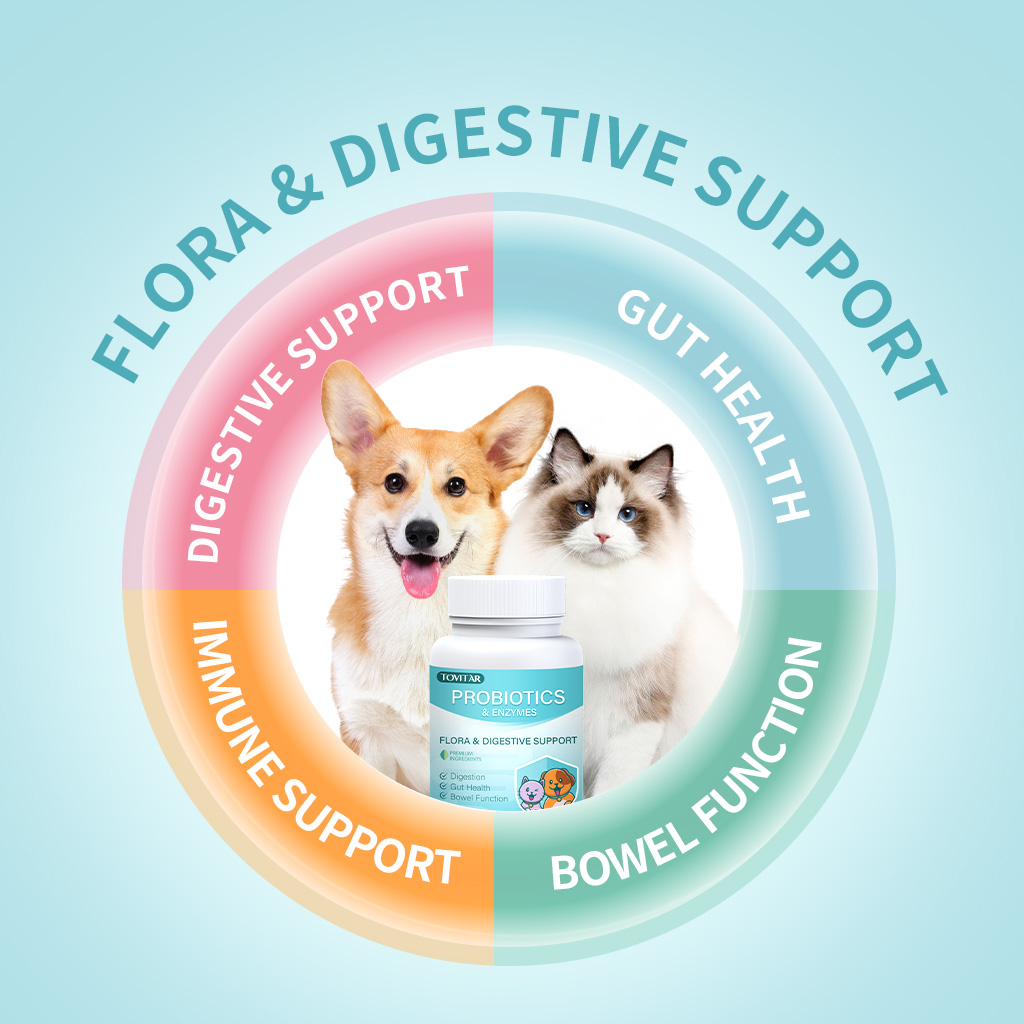 Tovitar® Pre and Probiotics for Pet- Cat and Dogs Probiotic Supplement ...