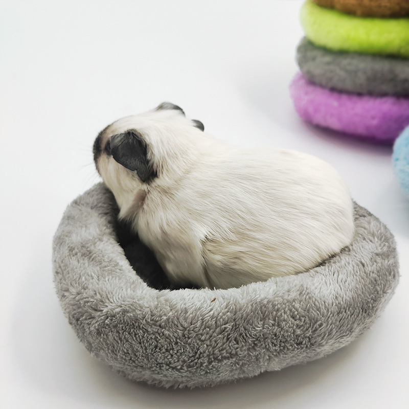 1pc Color random Hamster nesting pads Small Pet Warm Nest Random Twiggy ...
