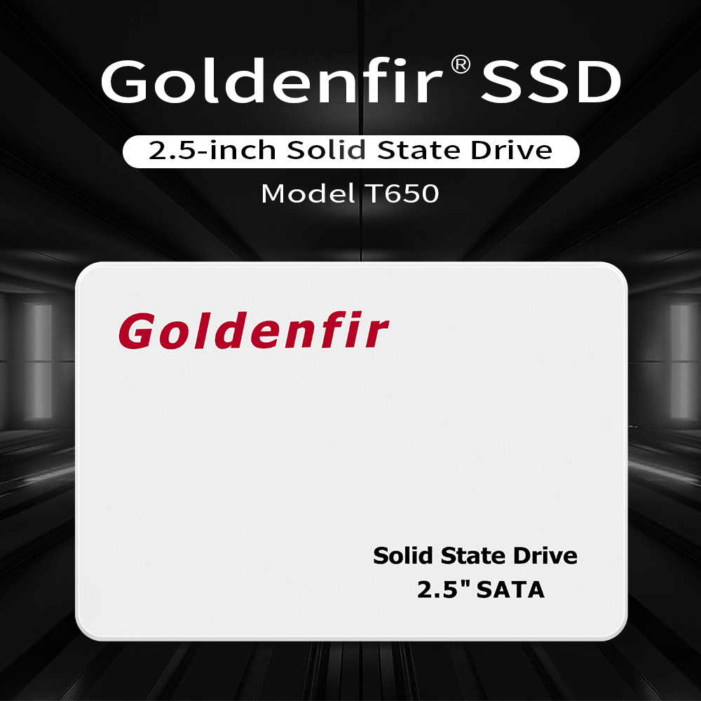 Goldenfir Sata3 SSD 128GB 120GB 240GB 256GB Hard Disk Disc 2.5 ...