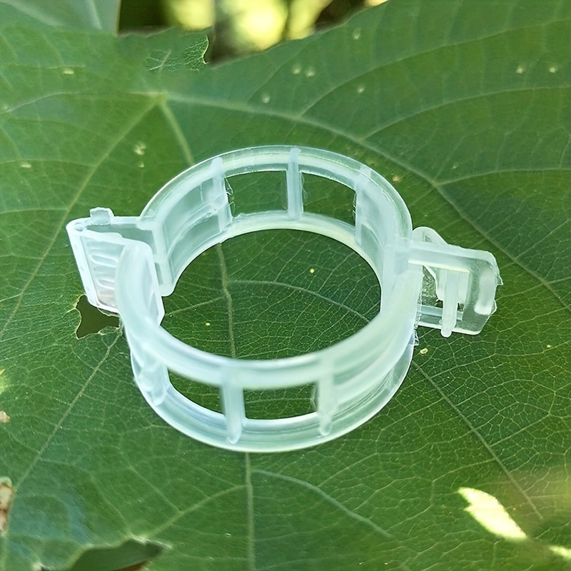 50PCS Plant clamp/hanging seedling clamp/binding branch clamp/hanging ...