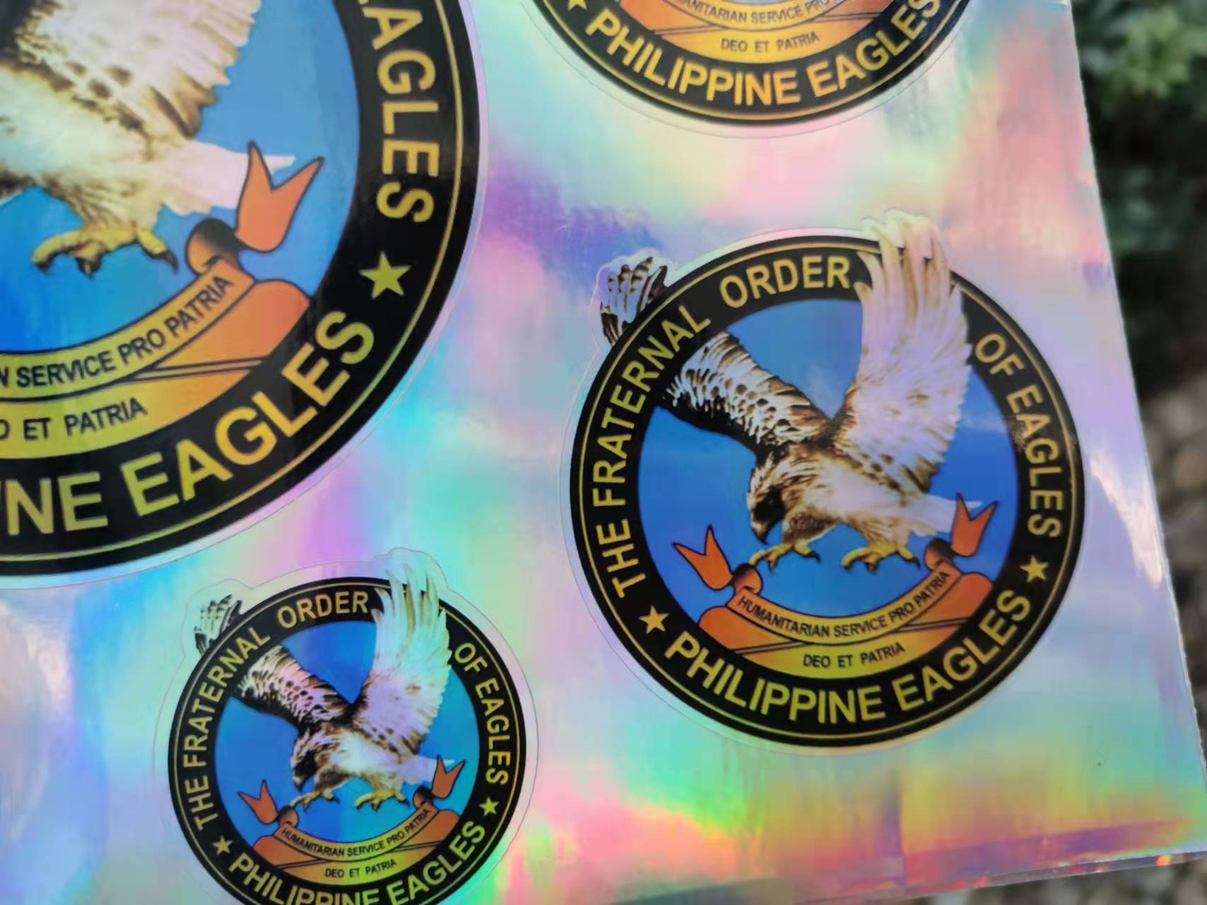 1 Set 5IN 3IN 2IN Fraternal Eagles Hologram Laminated for Car Motor ...