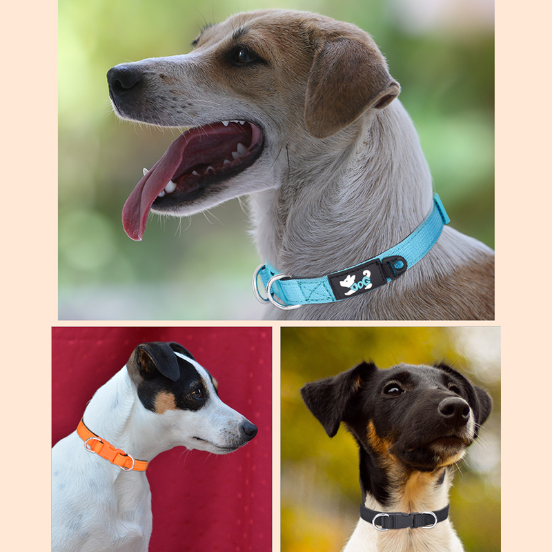 Reflective Nylon Dog Collar With Safety Buckle, Adjustable Pet Collars With Soft Neoprene ...