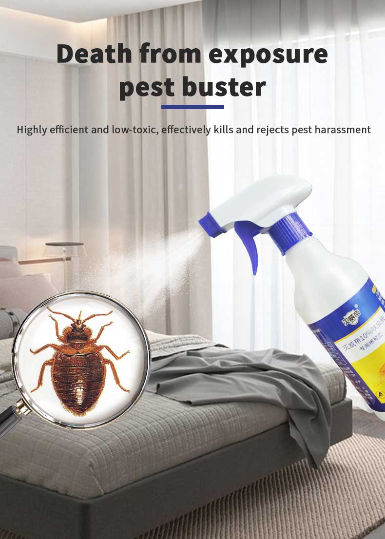 BH cockroach killer spray 500ml insecticide spray | Shopee Philippines