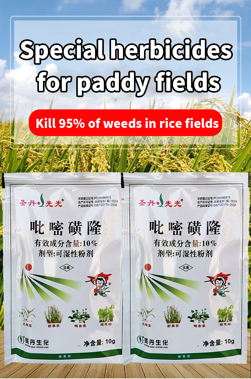 Herbicide for rice 10g rice herbicide It can effectively kill weeds in ...