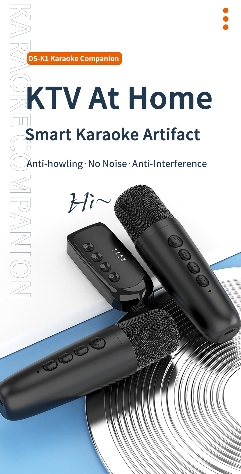 VAORLO DS-K1 Karaoke Companion Bluetooth 5.3 Wireless Moving-Coil ...