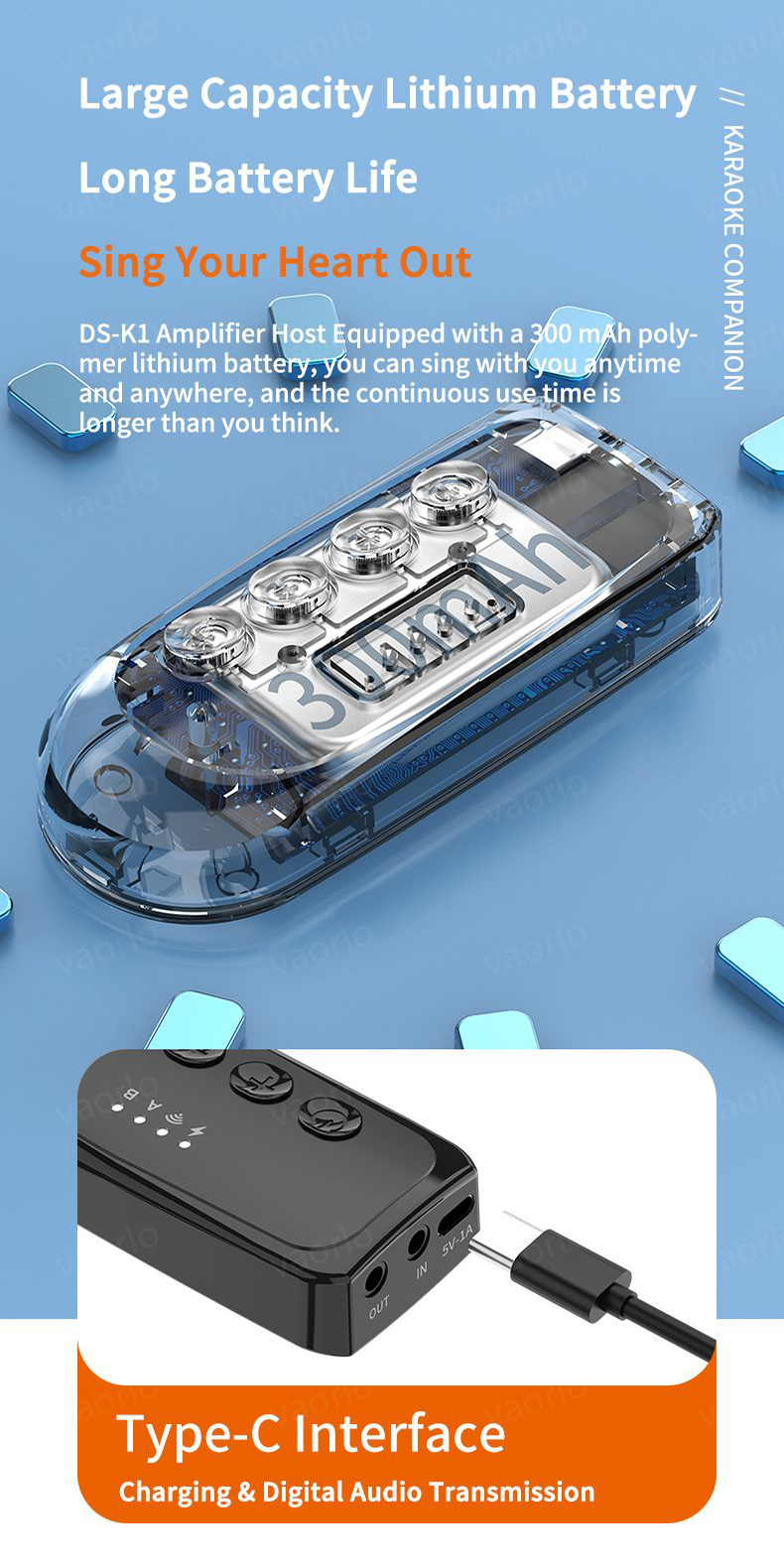 VAORLO DS-K1 Karaoke Companion Bluetooth 5.3 Wireless Moving-Coil ...