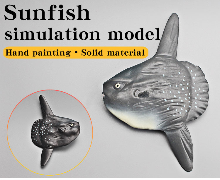 Simulated Cognitive Marine Sea Animal Model Solid Sunfish Moon Fish ...