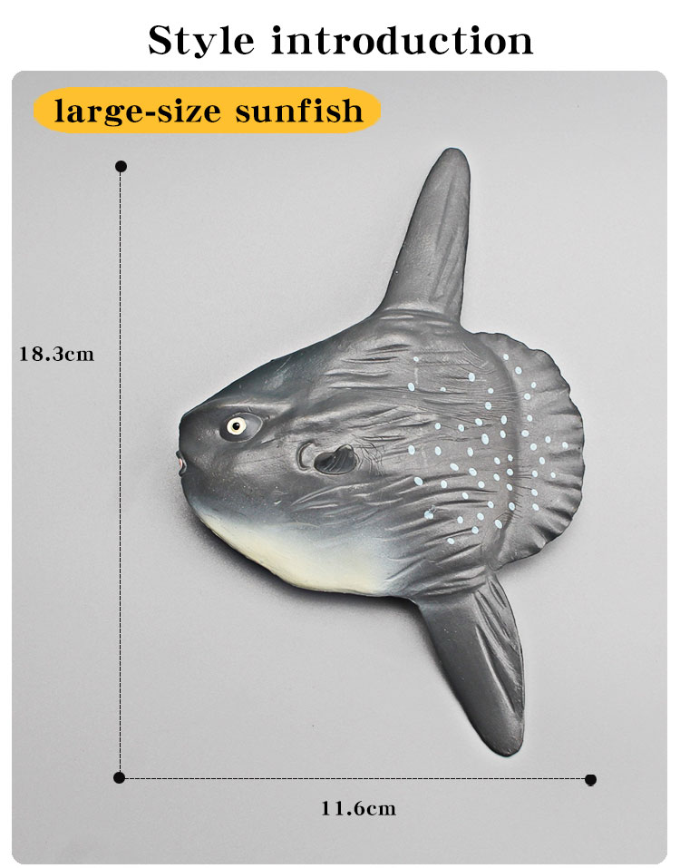 Simulated Cognitive Marine Sea Animal Model Solid Sunfish Moon Fish ...