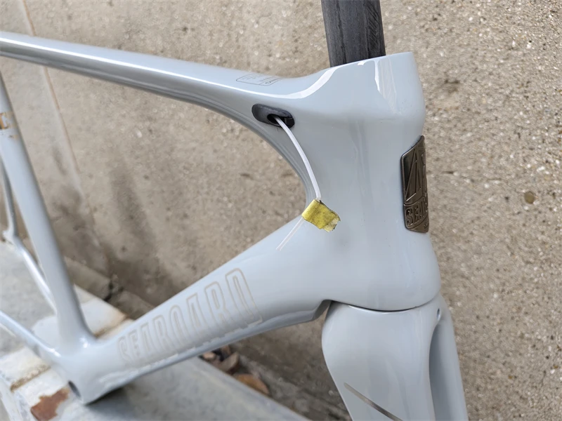 Seaboard FA06 Fixed Gear Carbon Fibre Frame 52cm Size 700c Single Speed ...