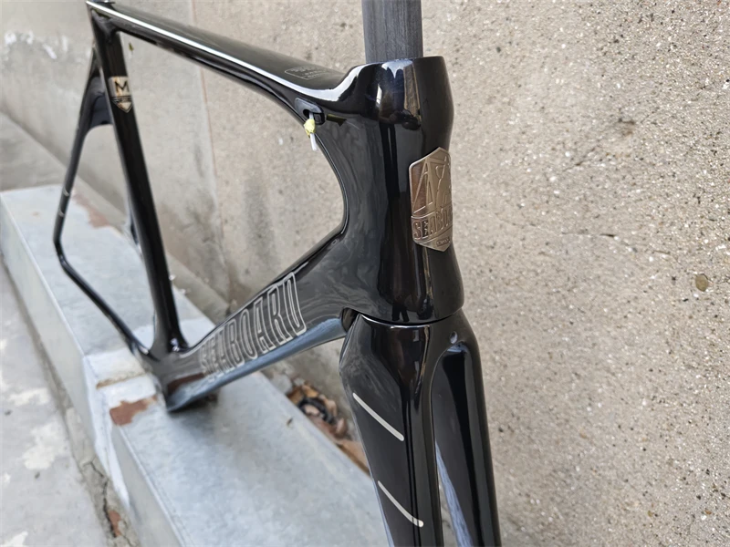 Seaboard FA06 Fixed Gear Carbon Fibre Frame 52cm Size 700c Single Speed ...