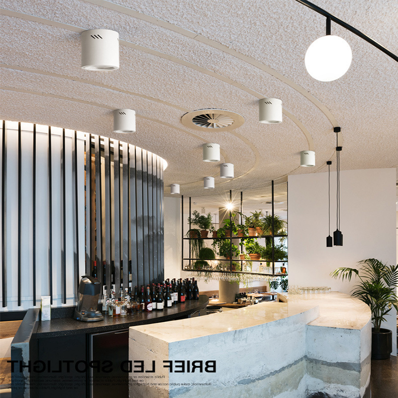 CANMEIJIA Surface Mounted Downlight LED Pin Light Of 220V | Shopee ...