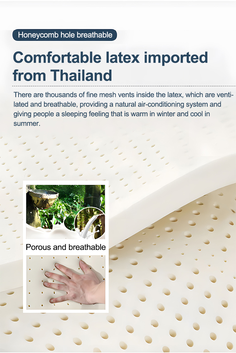 Dreame 8.6/10.5 Inch Thick Memory Foam Mute Zero Pressure Spring ...