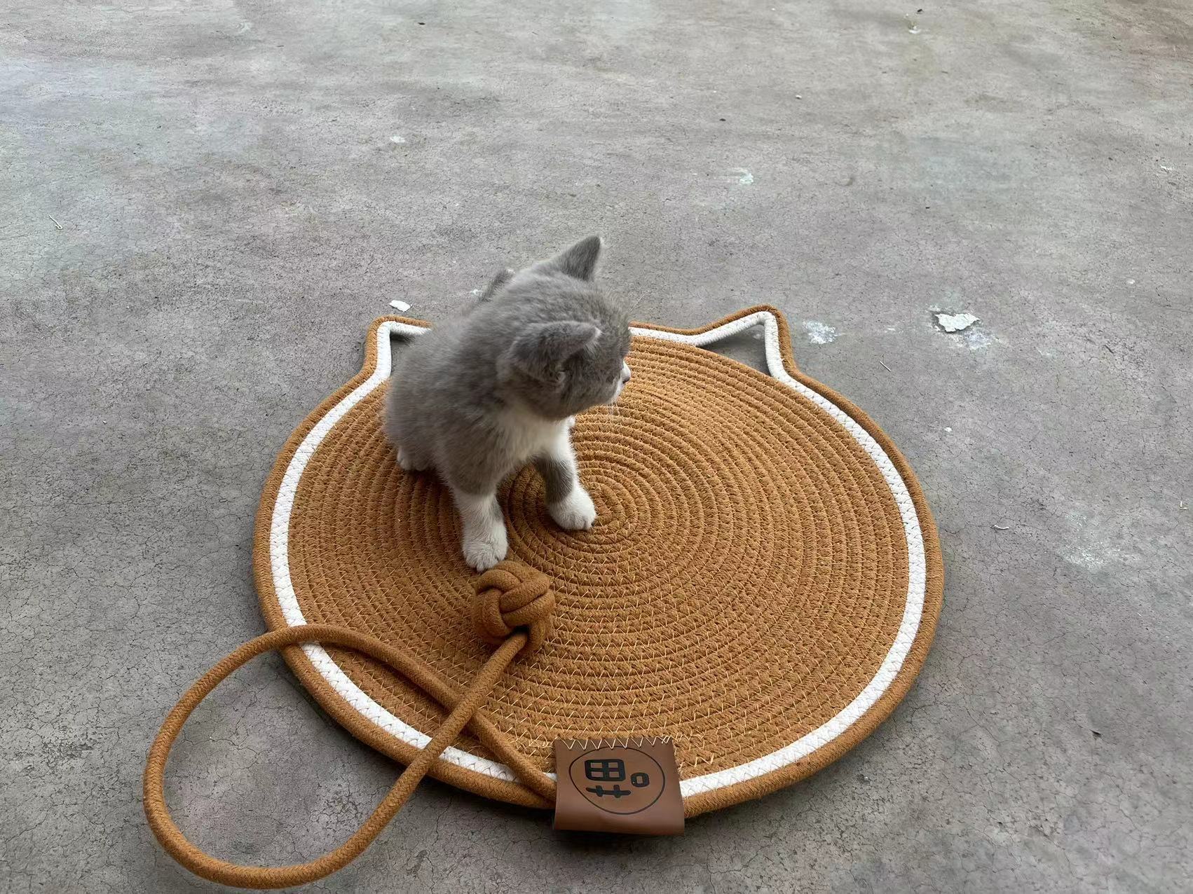 Sisal Scratch Pad For Cat Indoor Cat Scratching Pad Claw Scratching Cat ...