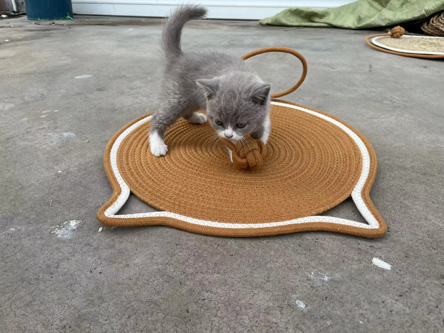 Sisal Scratch Pad For Cat Indoor Cat Scratching Pad Claw Scratching Cat ...