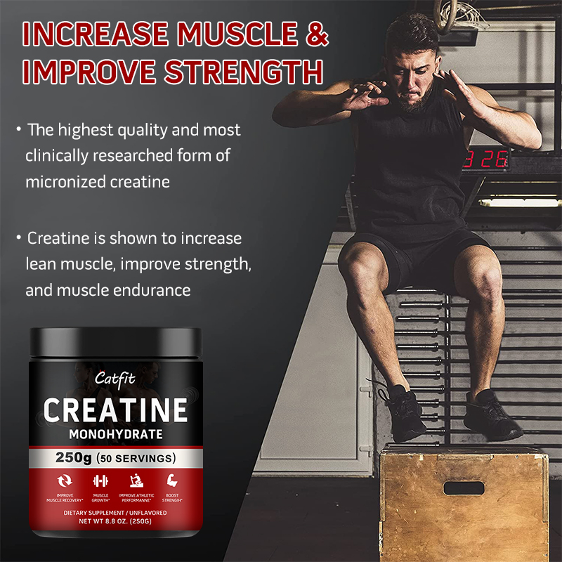 Catfit Creatine Monohydrate Powder creatine powder increase muscle ...