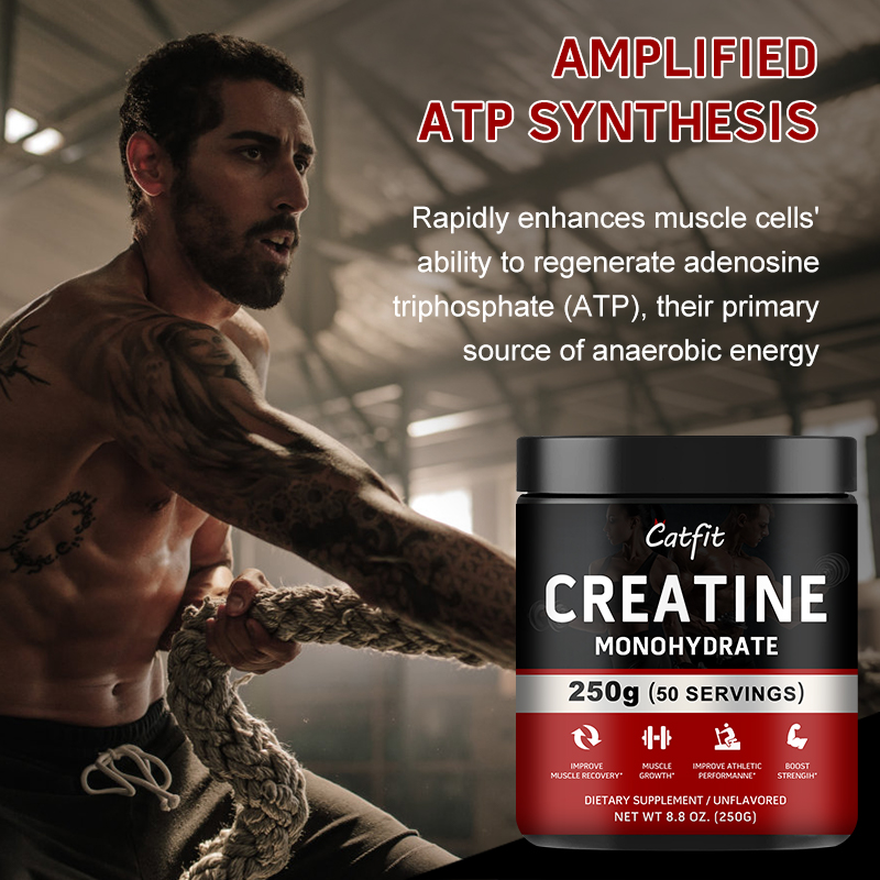 Catfit Creatine Monohydrate Powder creatine powder increase muscle ...