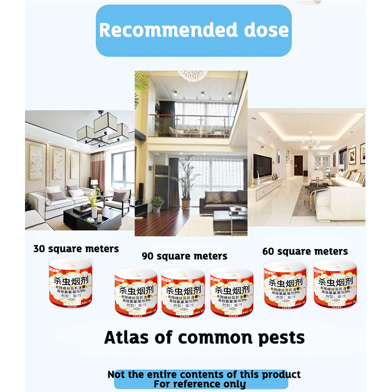 Japan 6pcs Cockroach Killer Herbal Smoke Insecticide Insect Repellant ...